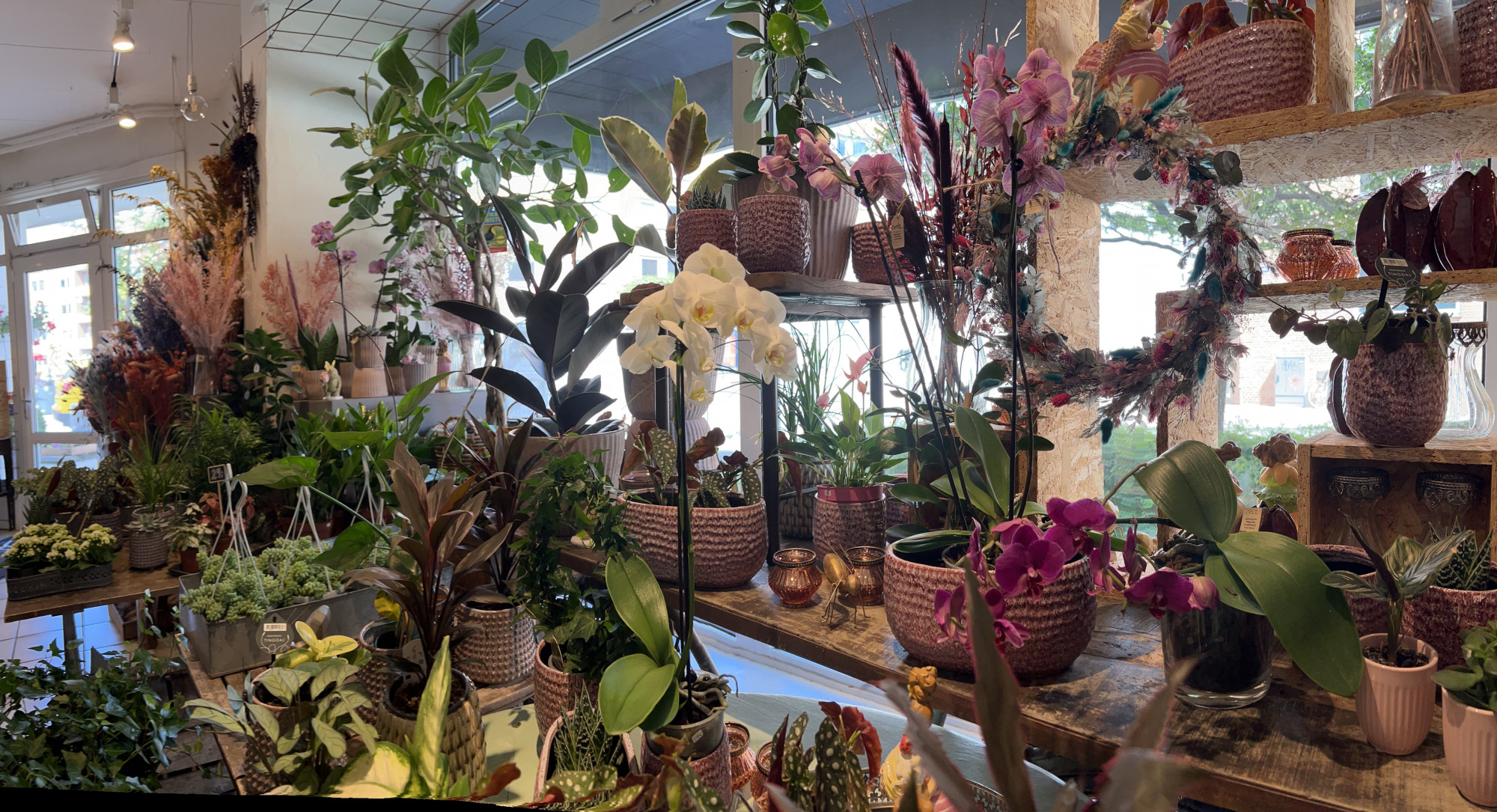 Carla Blomster i Aalborg - Få leveret buketter, vin og chokolade.